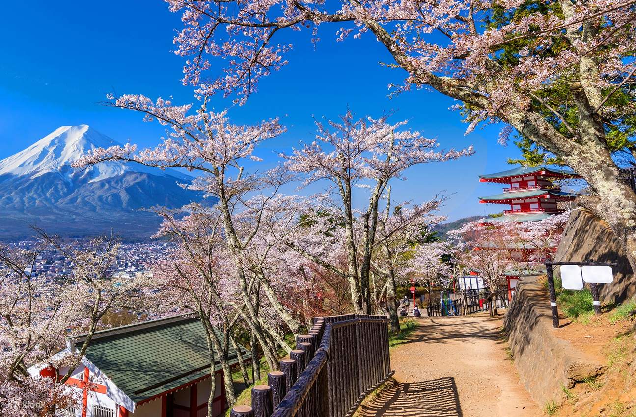 Mount Fuji, Arakurayama Park, Oshino Hakkai, and Lake Kawaguchiko Bus ...